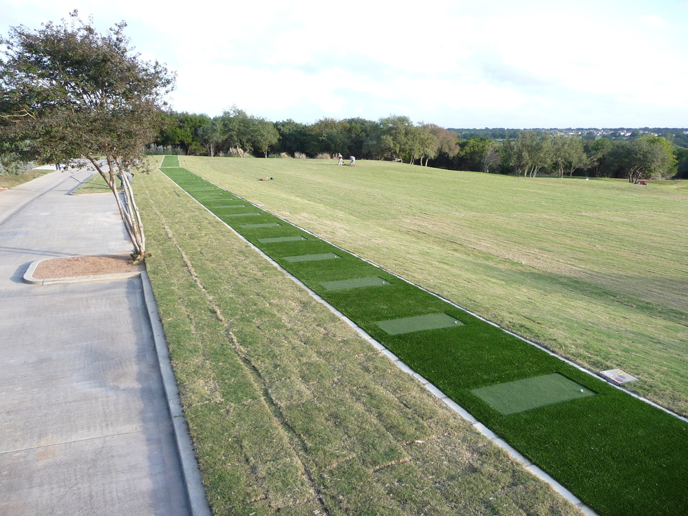 Golden Bear Turf | Southwest Greens Ontario